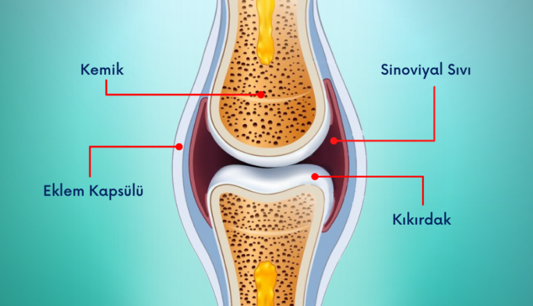 Diz İğnesi: Ameliyatsız Diz Sıvı Kaybı Tedavisi | Kayhan Turan ...