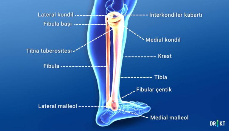 Yüksek Tibial Osteotomi (YTO) Ameliyatı Nedir? | Kayhan Turan | Robotik Ortopedi Cerrahi Derneği ...